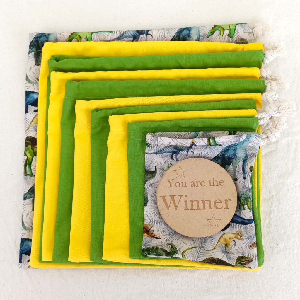 Dinosaur Reusable Pass The Parcel - The Party Godmother